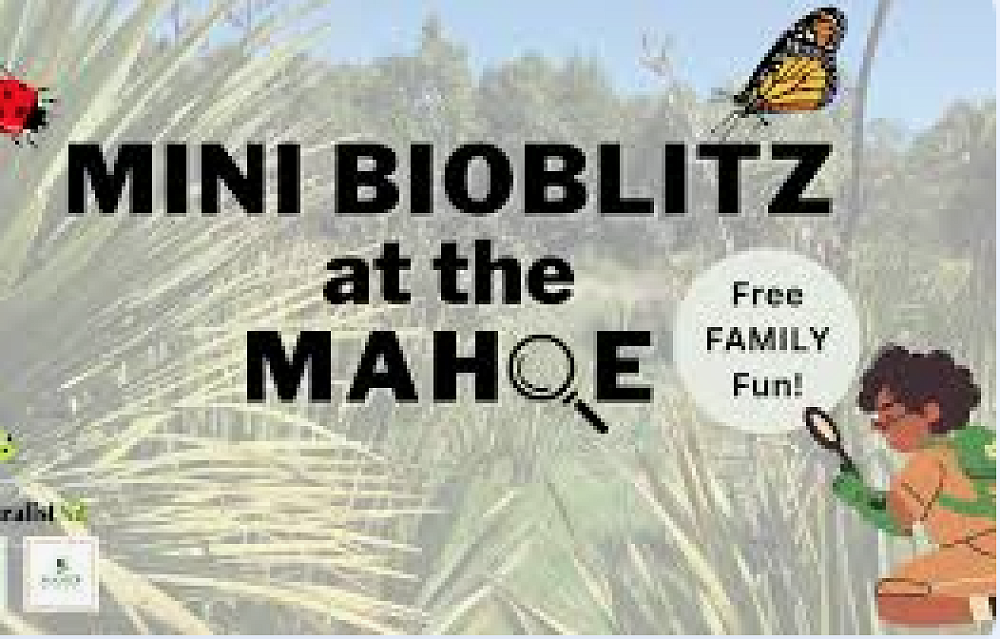 Mini Bioblitz Nature Study for families - Free event — Kāwerongo ...