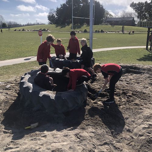 Te Rito Harakeke - Marshland School