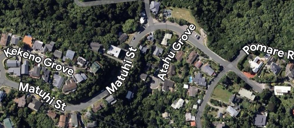 Mahuru Māori — Bush Telegraph, 6 September 2024