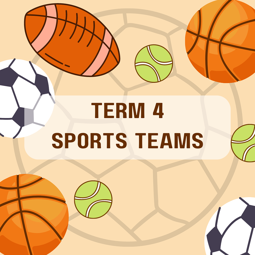 Term 4 Sports Teams