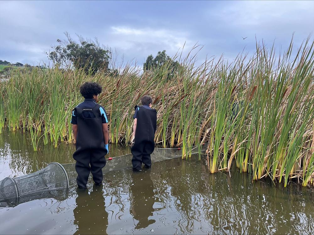 King's work at Tomahawk Lagoon