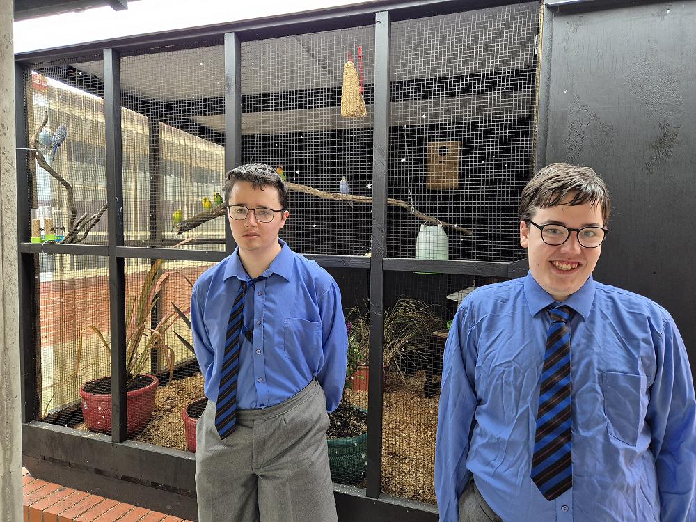 New Birds Join the SKC Aviary — St Kevin's College News and Reminders ...