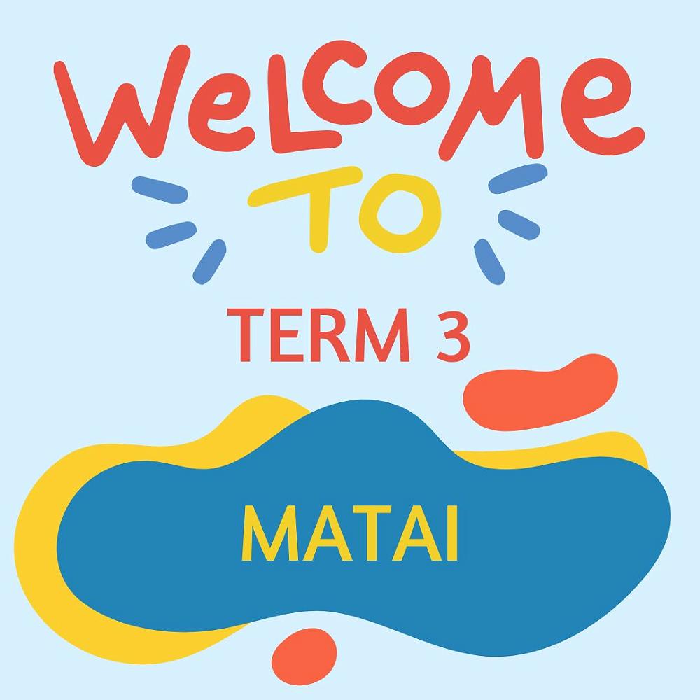 Welcome to Term 3