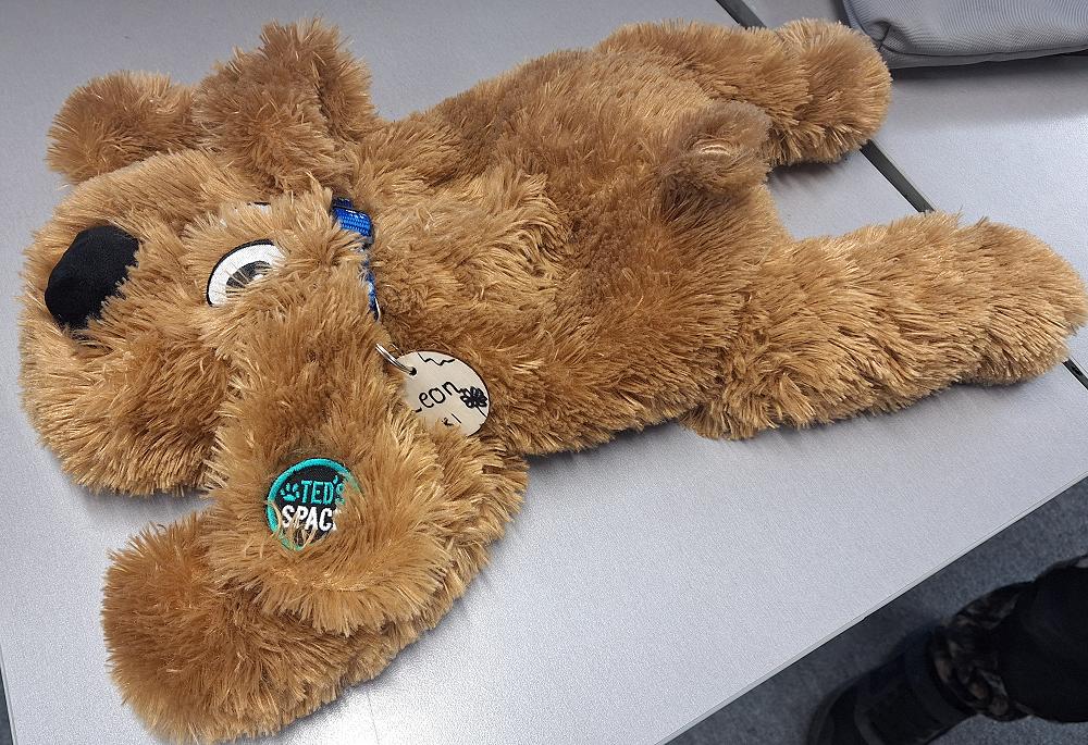 PESF Kids /Whānau Weighted Dog Workshop