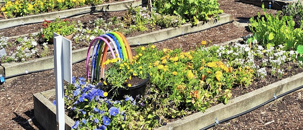 Newsletter for Week 8 , Term 4 2024 — Fernside School News Updates