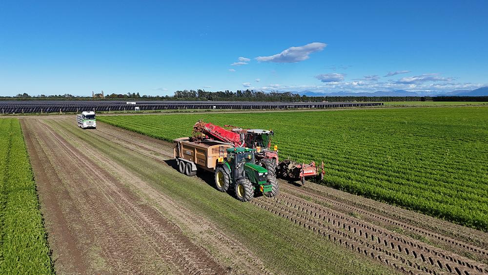 Work Experience Opportunity with Pye Group. — DHS Dispatch, 19 June 2025