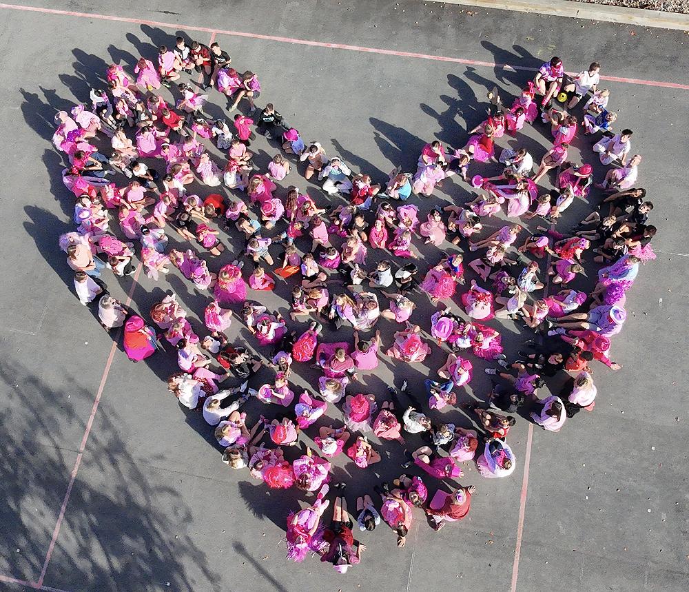 Pink Shirt Day Success