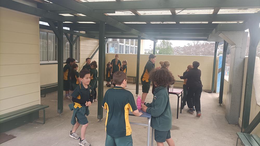 Term 3, Week 7 Newsletter