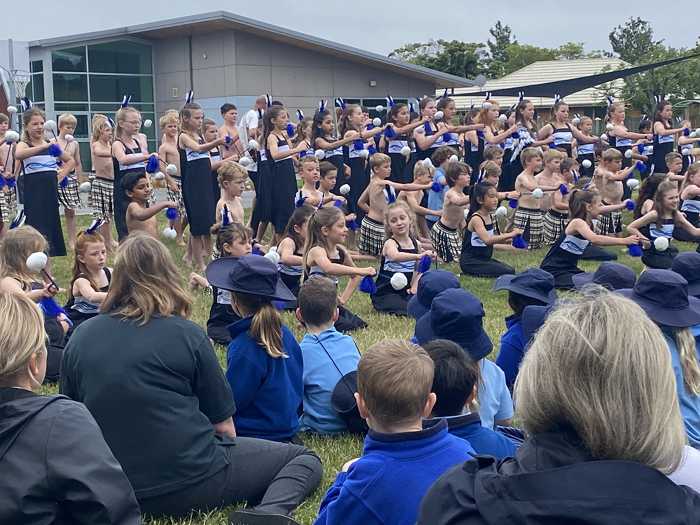 Newsletter Week 7, Term 4