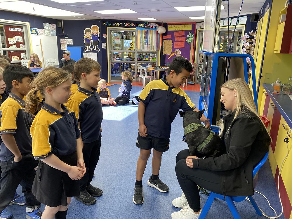 Safety Learning in Creative Creatures