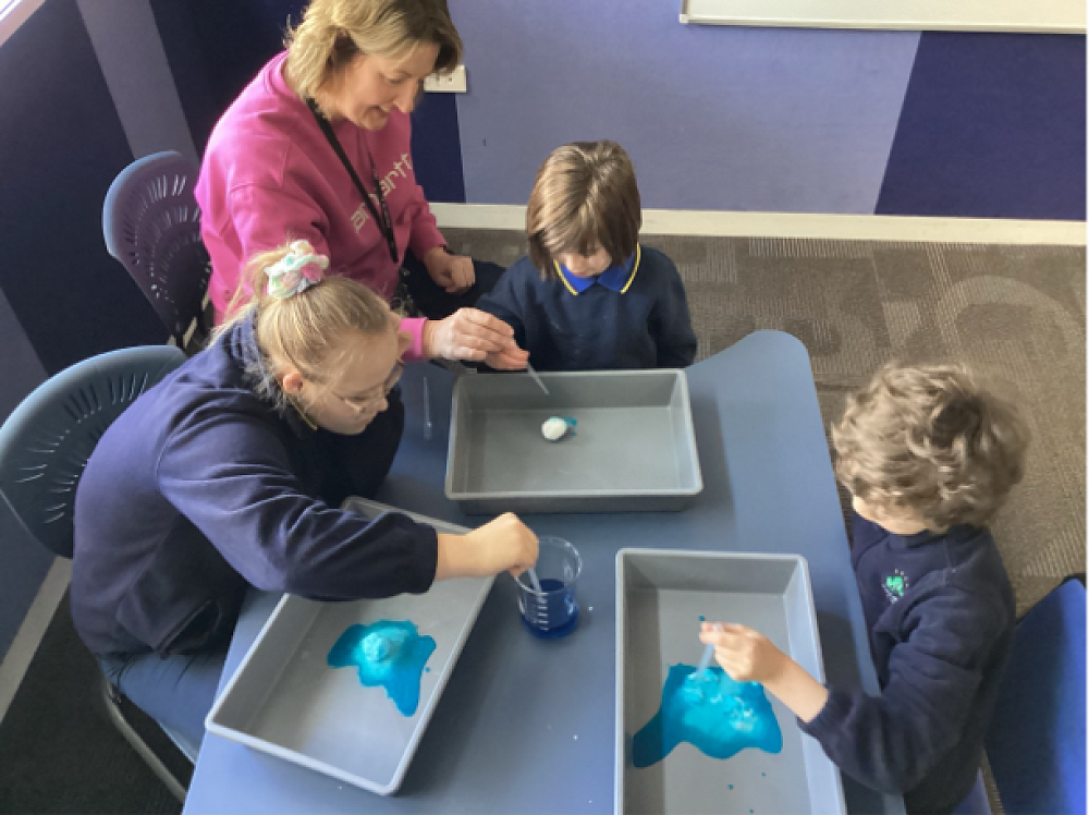 Discovering Turtle Life: Baking Soda & Vinegar Experiment Fun