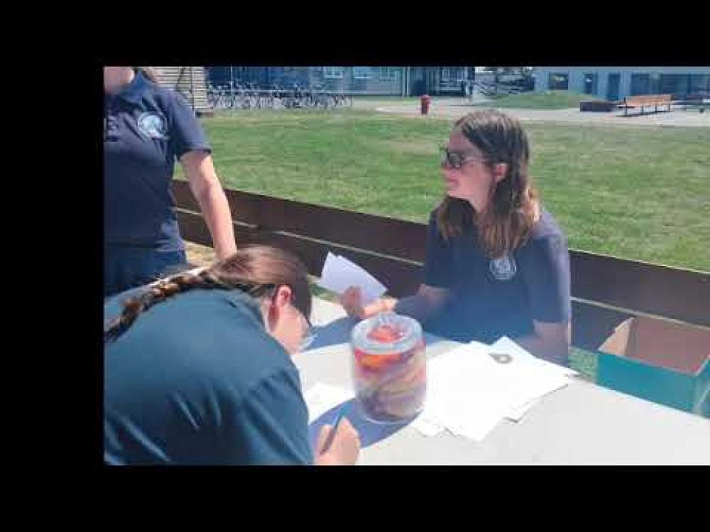 Video: Book Week at Te Oraka. — Te Oraka Shirley Intermediate Term 4 ...