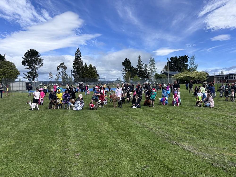 Newsletter - Term 4 2024, Week 3