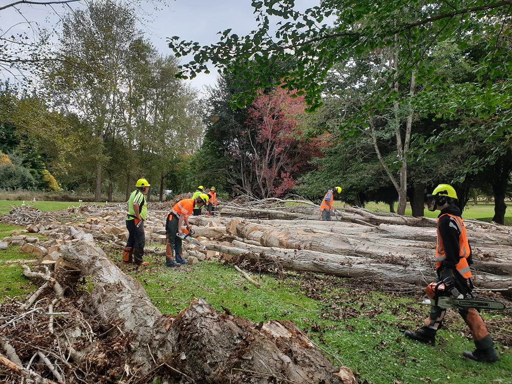 Vocational Pathways Update