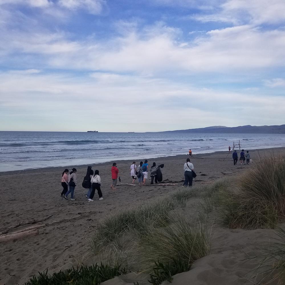Riccarton High School Interact Beach Clean-Up Day — RHS Newsletter ...