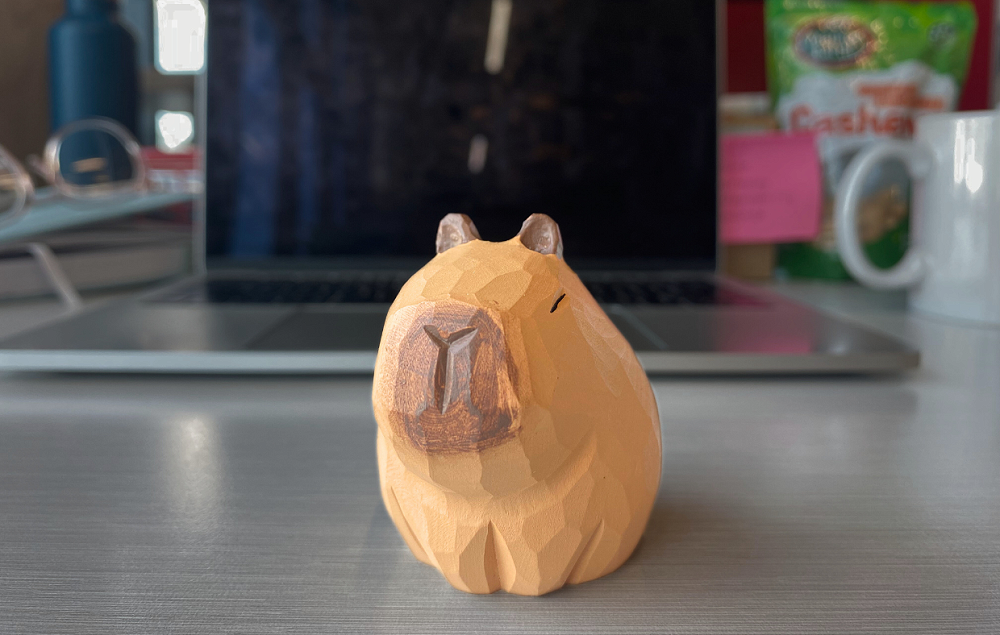 An update from the Hail team