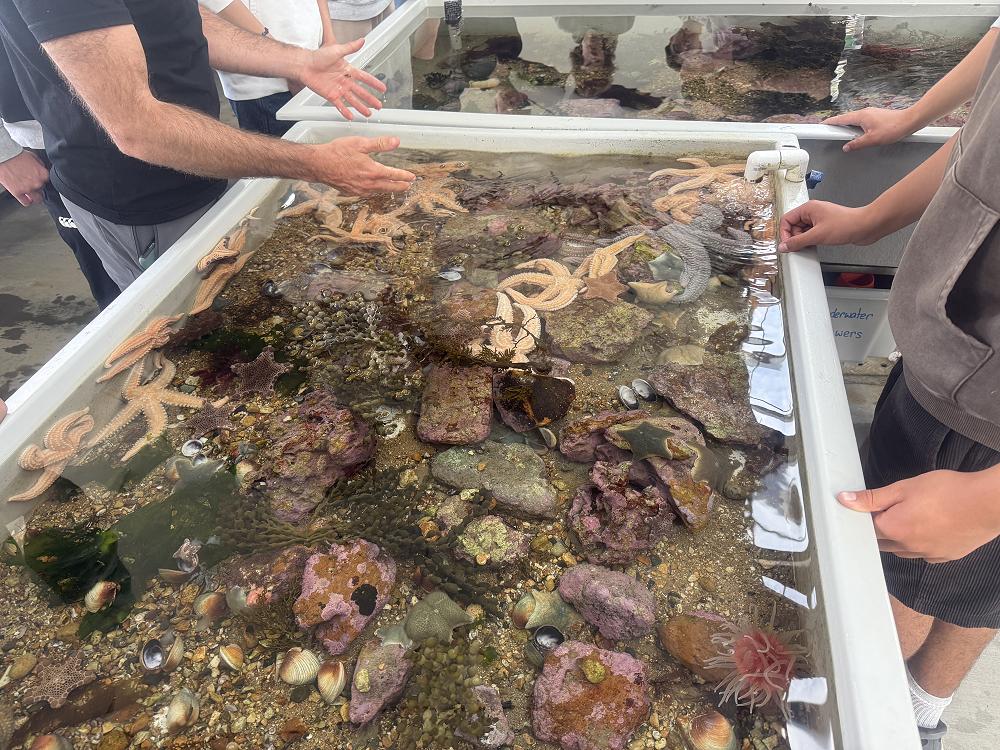 It's a shore thing 2025