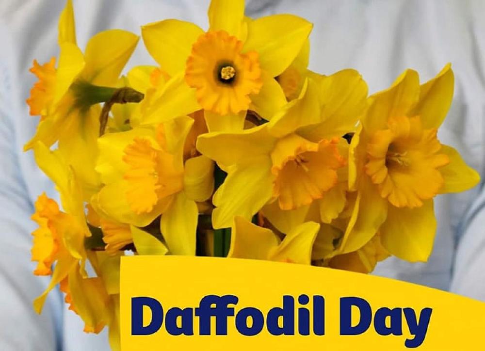 A message from the organizers of Daffodil Day in Feilding