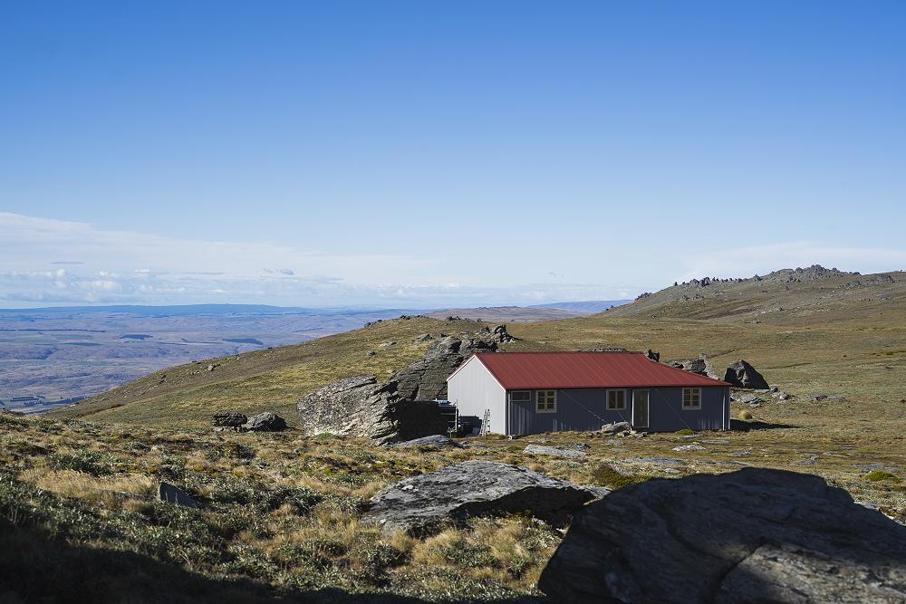 STRATH TAIERI COMMUNITY BOARD UPDATE