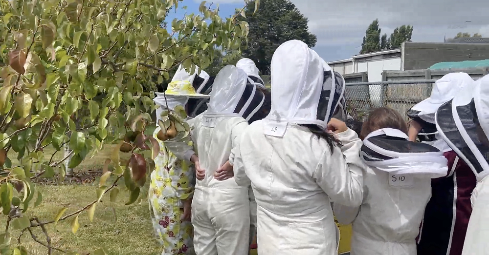 Opportunities in Full Swing — Casebrook Intermediate School - Te Kura ...