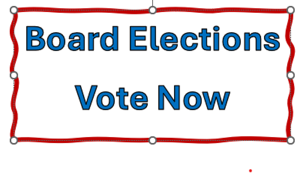 Board Elections - It's Time To Vote — Term 3 Week 5 Newsletter