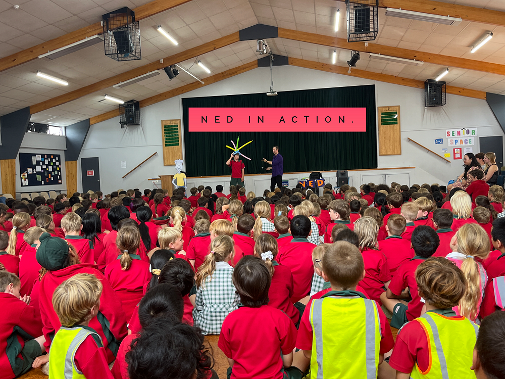 School Newsletter - Term 1, Week 8