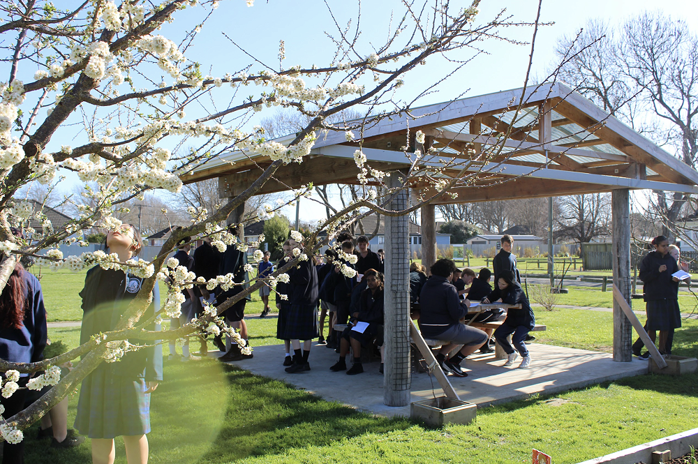 Kaitiakitanga with Room 4 and 5 — Week 9, Term 3, 2025 - Te Oraka ...