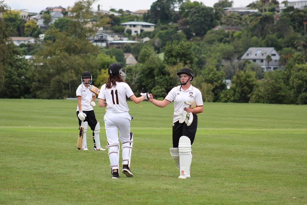 Cricket