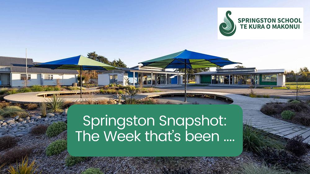 The week that's been with Mrs P ...