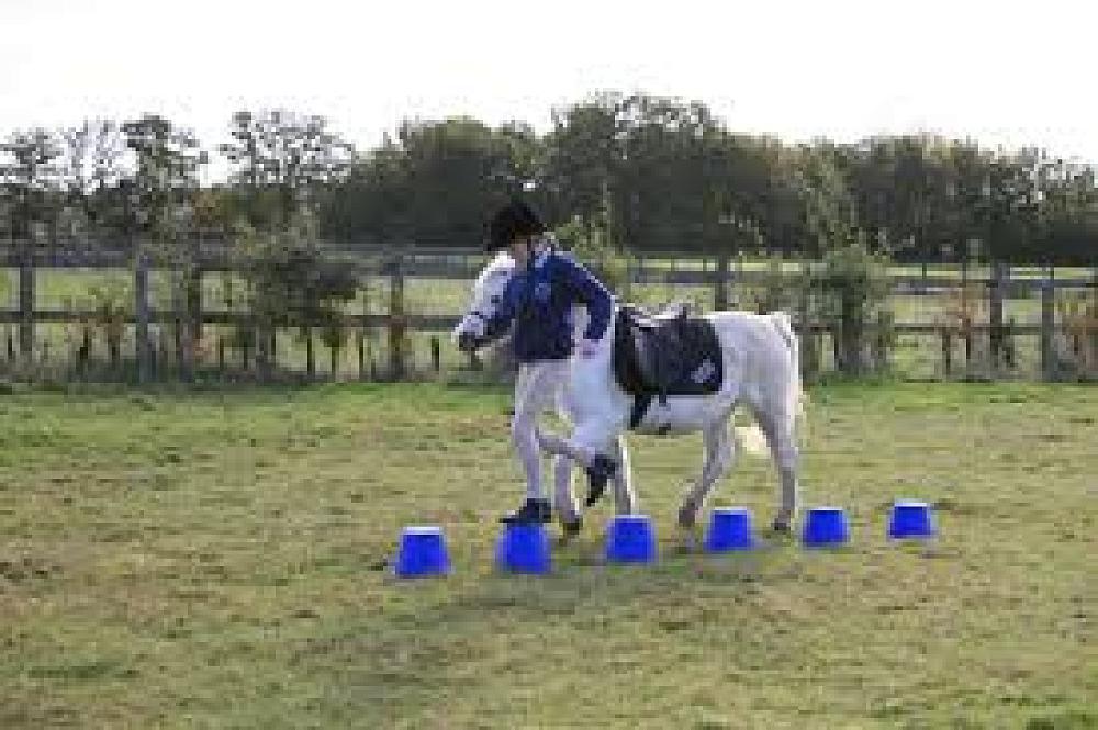 Mounted Games 'Have a Go' Session — DHS Dispatch, 23 August 2024