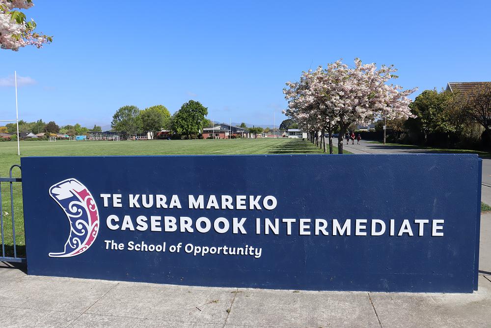 Student Safety at School Gate — Casebrook Intermediate School - Te Kura ...