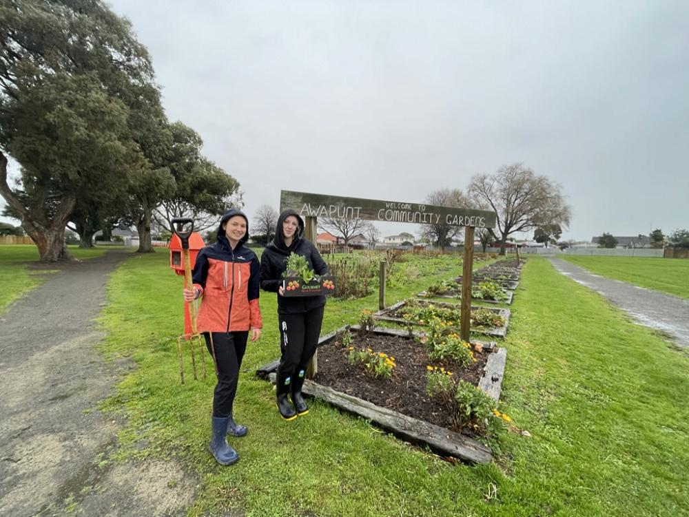 40 Hour Challenge — Update - 5 July 2024