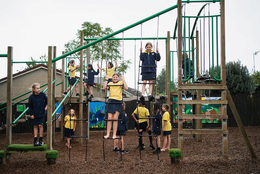 Newsletter: Term 4, Week 6