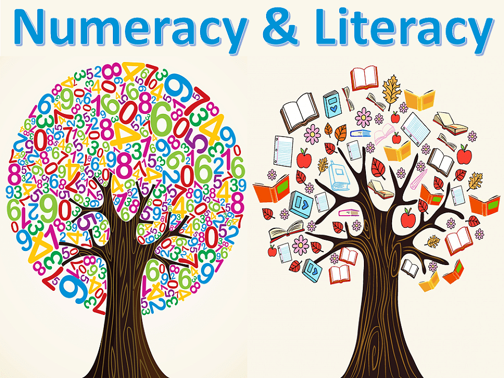 Literacy and Numeracy Standards