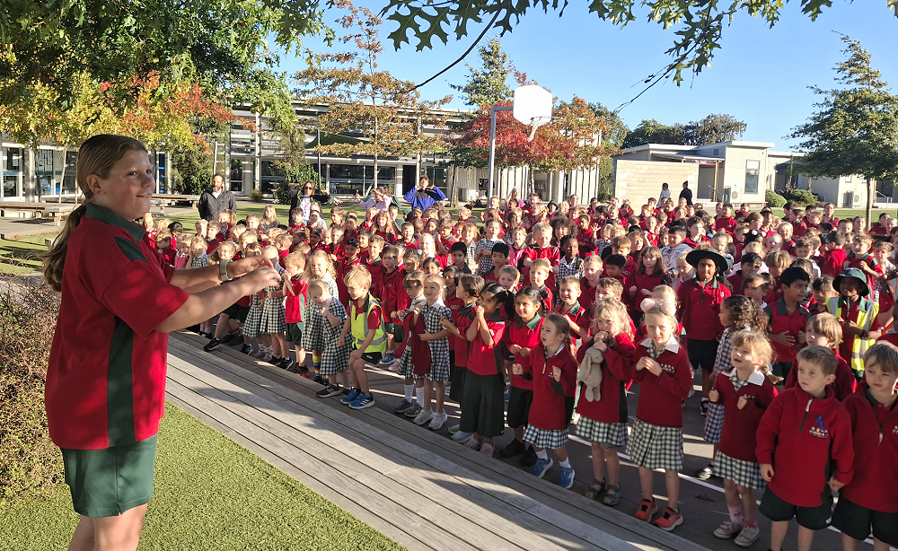 Syndicate 2 -Term 1 Week 7