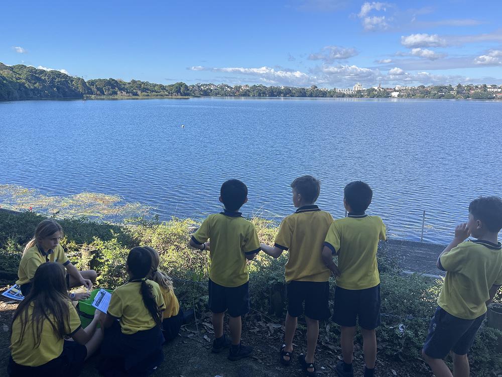 Water Testing of Lake Pupuke — Pānui Wiki 3, Wā Kura 2 2025