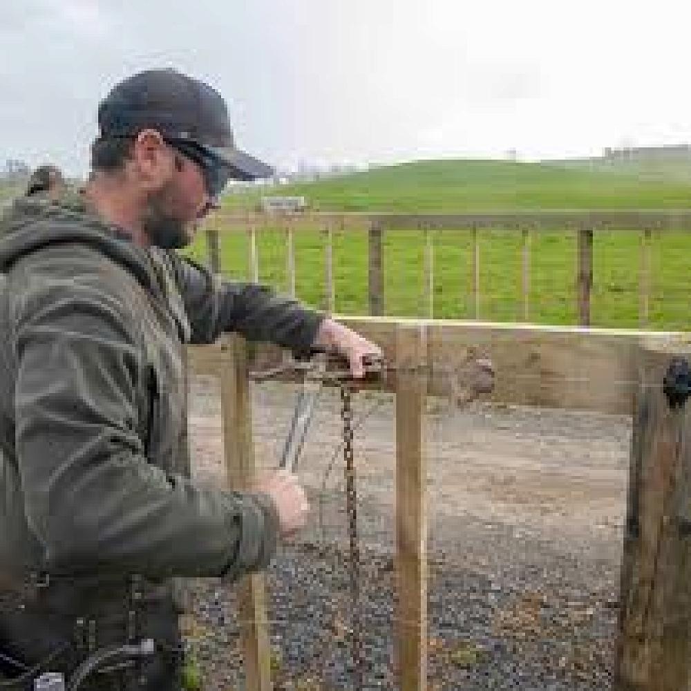 Fantastic job opportunity