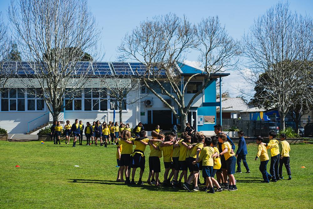 Newsletter: Term 3, Week 7