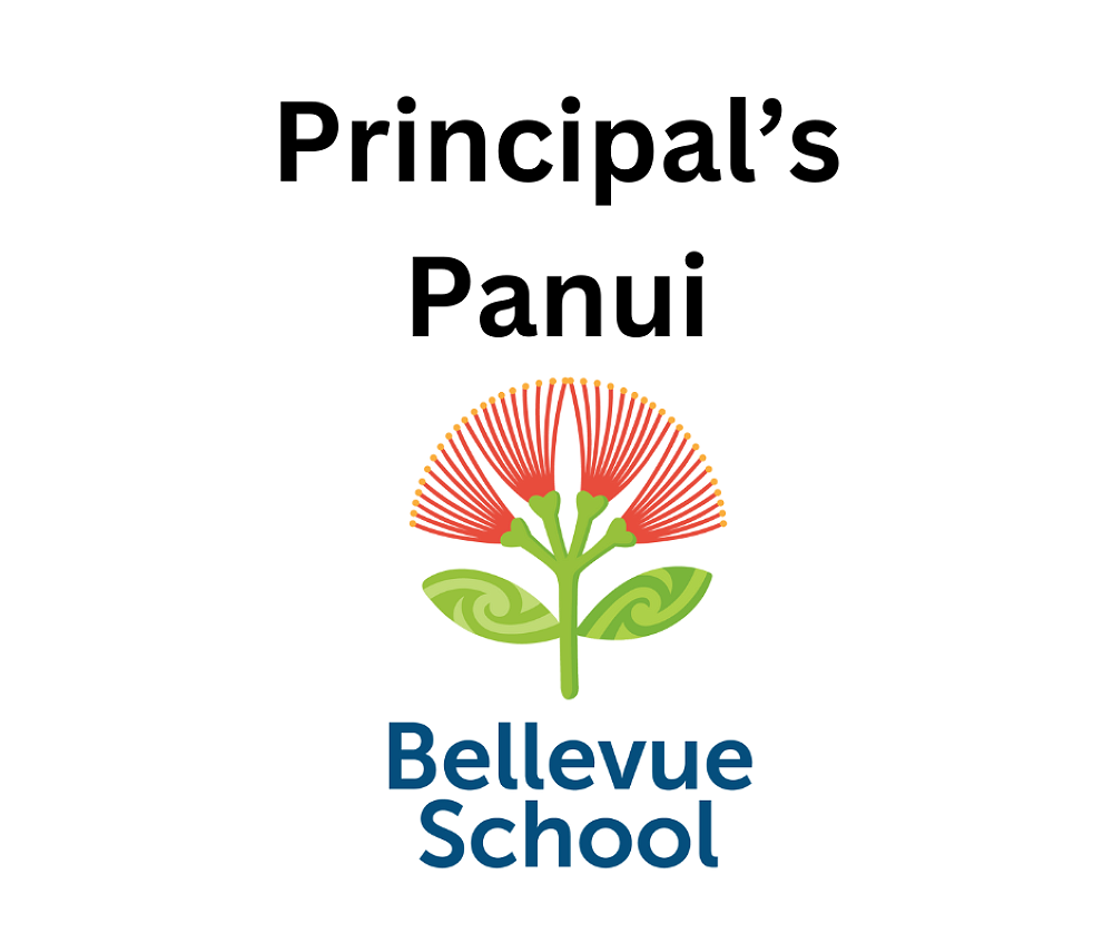 Principal's Panui - Term 2, Week 9