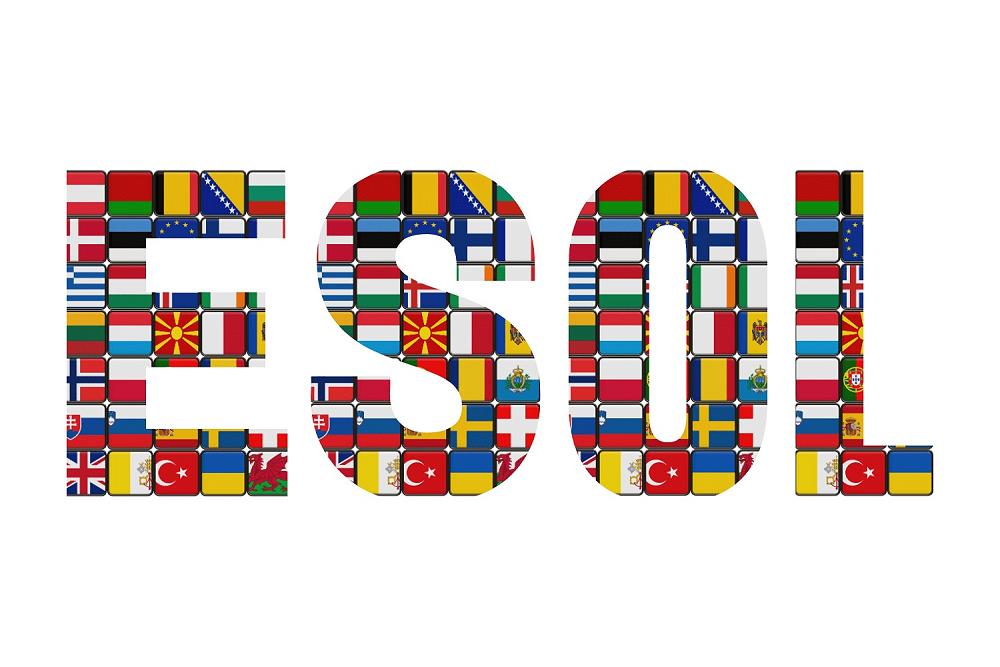 ESOL Christmas Party