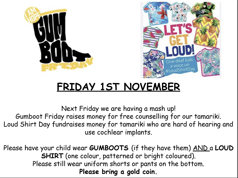 Gumboot Friday and Loud Shirt Day