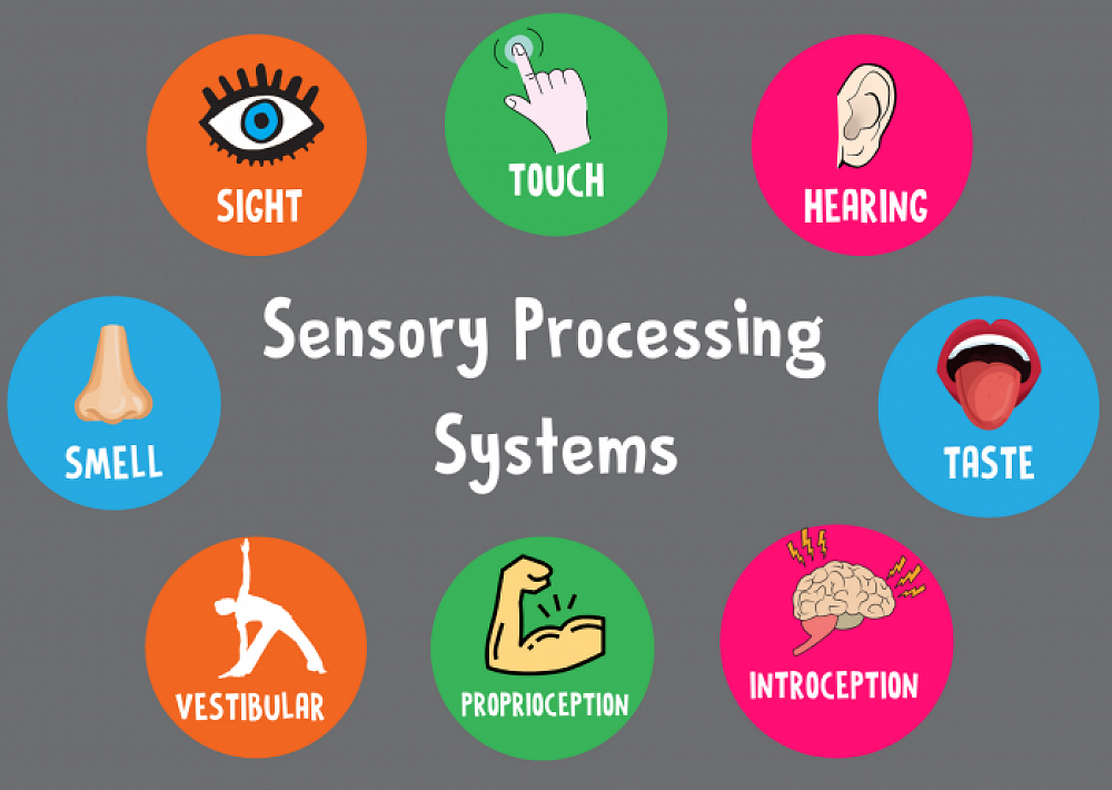 Sensory Sessions in Kimi Ora - September 2024 — Newsletter 27th September 2024