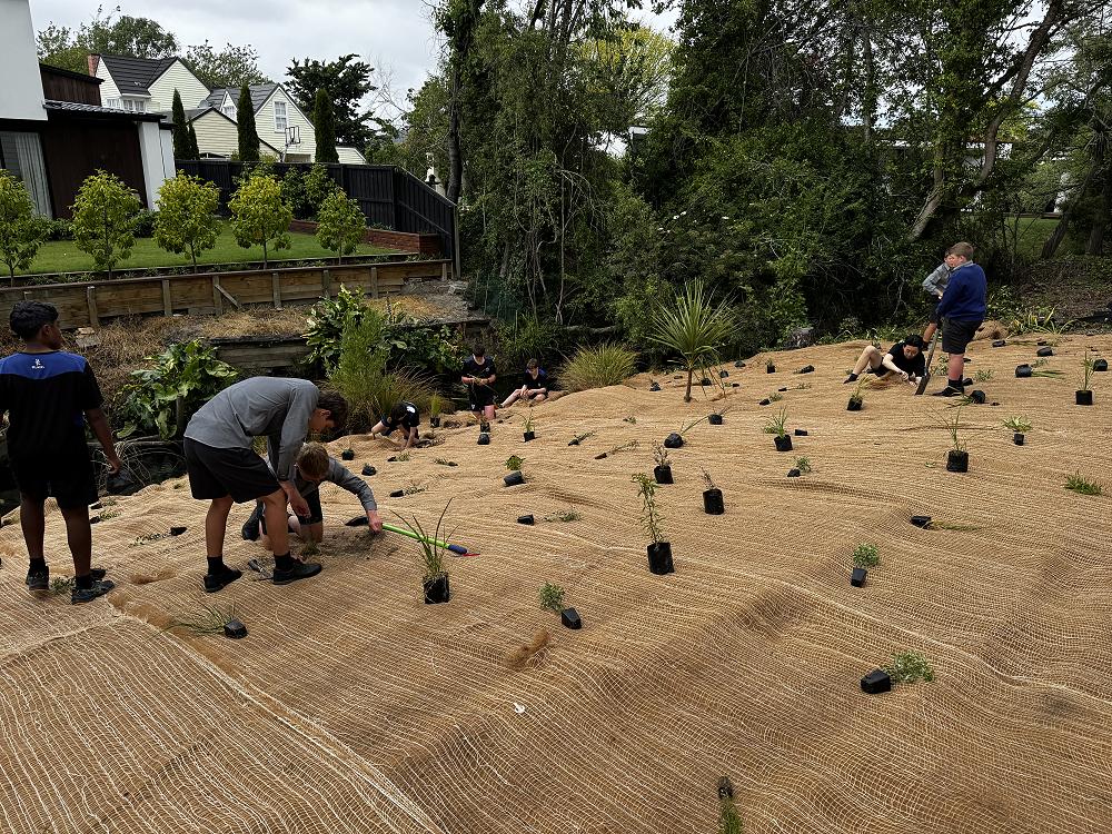 Riverbank planting at CBHS