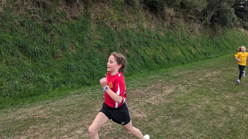 Interzone Cross Country