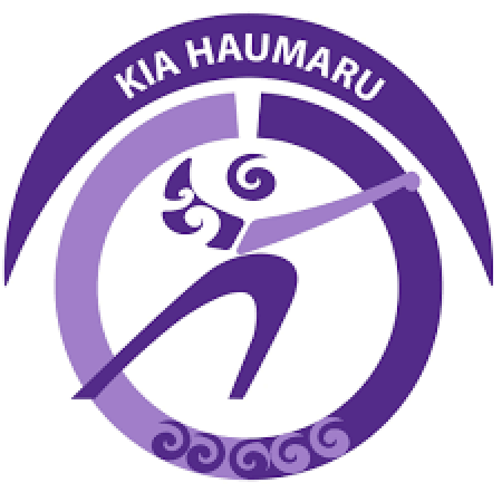 Year 8 Girls' Self Defence — Te Oraka Shirley Intermediate Newsletter ...