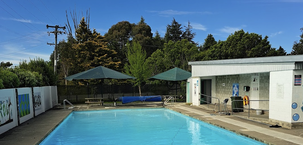 Newsletter for Week 6 , Term 4 2024 — Fernside School News Updates