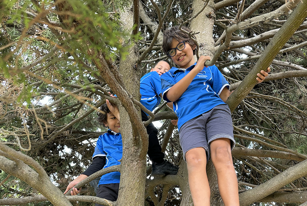 A Word From The Principal