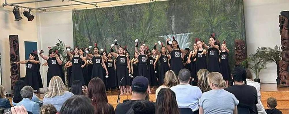 Onepoto Cultural Festival