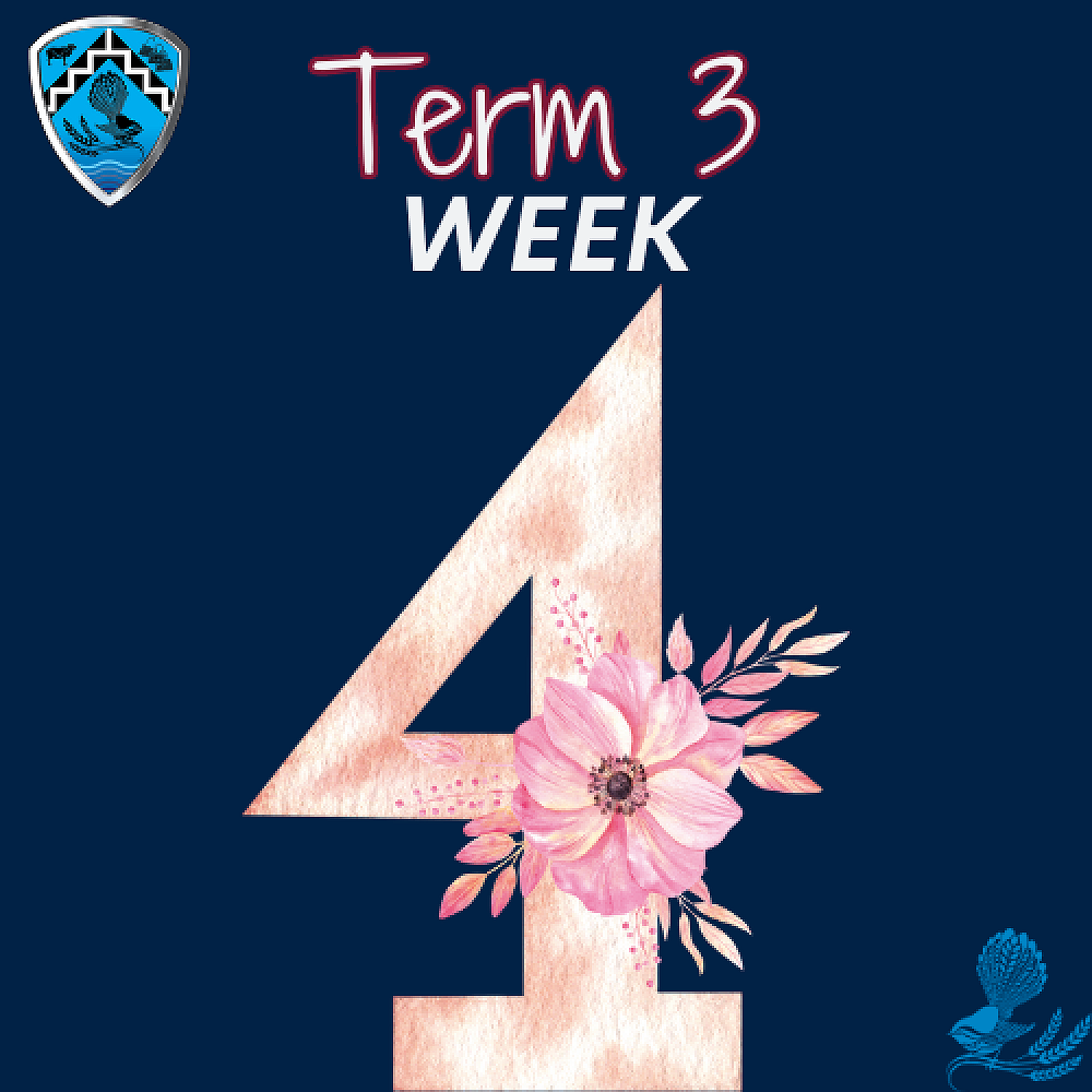 Pīwaiwaka Post - Term Three, Week Five