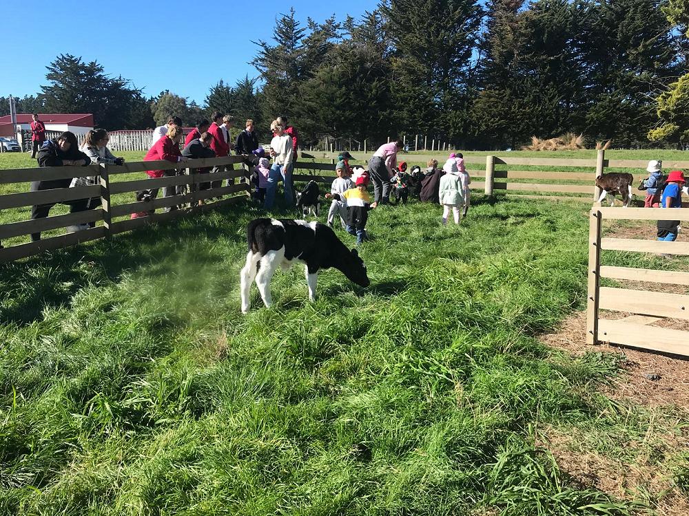 Fraser Farm — Newsletter, #11 2025